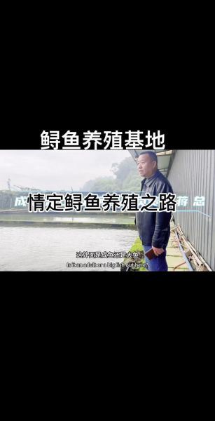 鲟鱼养殖基地在哪里_鲟鱼养殖需要什么条件-第1张图片-山城妙识 鲟鱼养殖基地在哪里_鲟鱼养殖需要什么条件-第1张图片-山城妙识