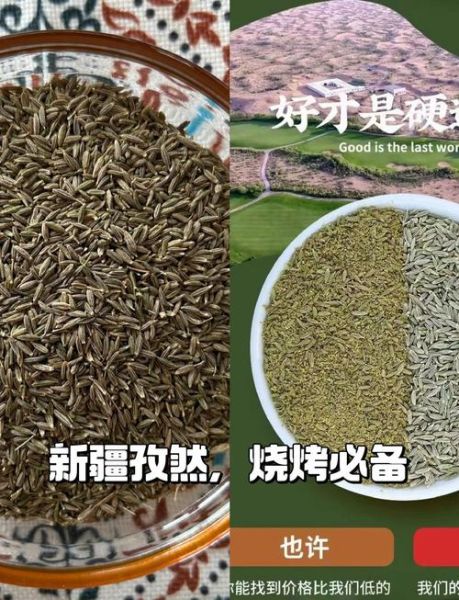 孜然粉吃多了会怎么样_孜然粉过量危害-第2张图片-山城妙识