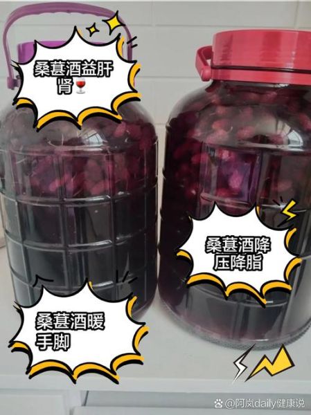 桑葚酒的功效与作用_桑葚酒每天喝多少合适-第1张图片-山城妙识