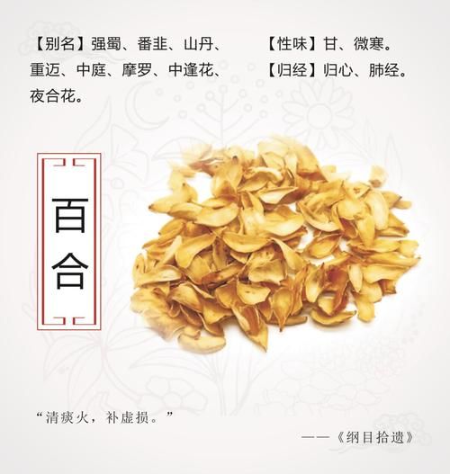 百合功效与作用_百合禁忌症有哪些-第3张图片-山城妙识