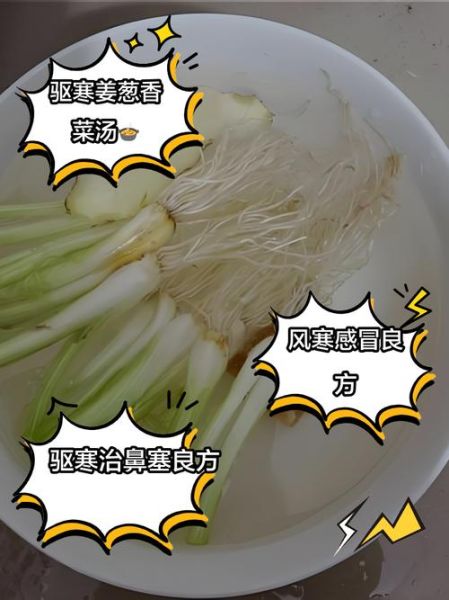 葱白姜片煮水治感冒怎么做_葱白姜片煮水多久见效-第2张图片-山城妙识