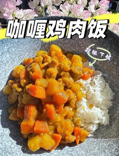 咖喱鸡肉炒饭怎么做_咖喱鸡肉炒饭家常做法-第2张图片-山城妙识