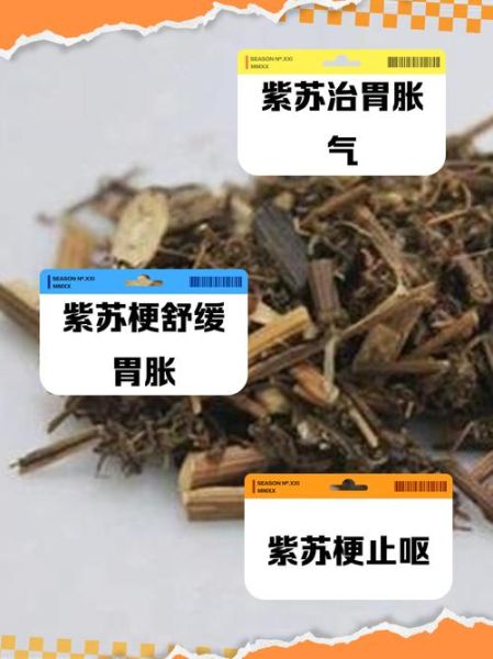 紫苏梗的功效与作用_紫苏梗主治什么病-第2张图片-山城妙识