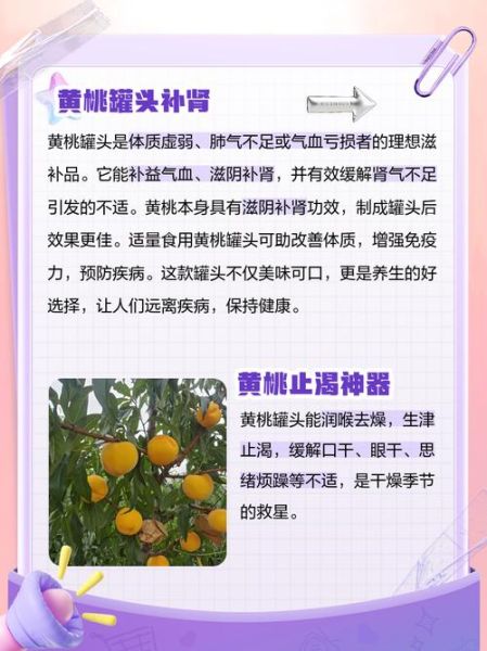 黄桃罐头的危害有多大_长期吃会致癌吗-第1张图片-山城妙识