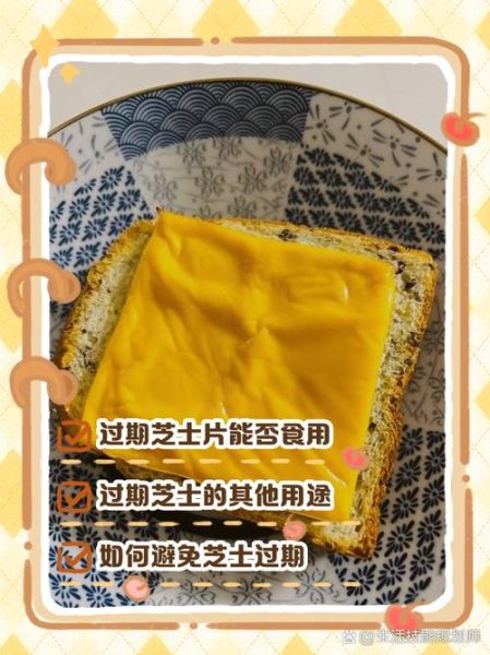 芝士片冷藏还是冷冻保存_如何延长保质期-第1张图片-山城妙识