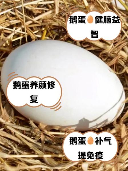 鹅蛋怎么吃最营养_鹅蛋的七种吃法-第1张图片-山城妙识