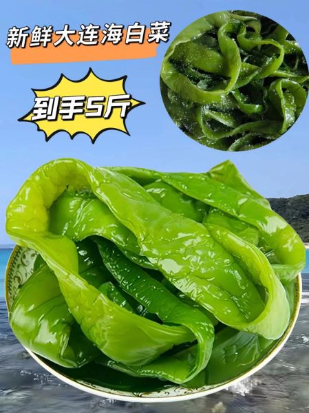 海白菜图片大全_海白菜长什么样-第1张图片-山城妙识 海白菜图片大全_海白菜长什么样-第1张图片-山城妙识