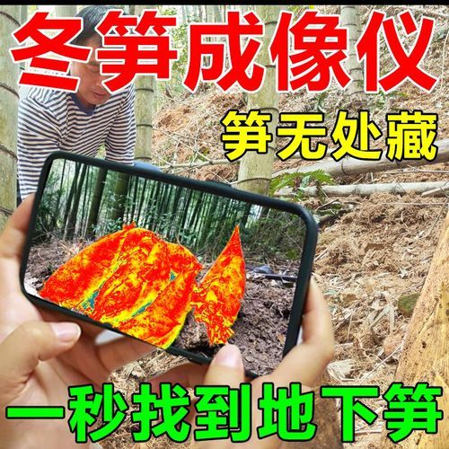 冬笋探测器多少钱一个_冬笋探测器价格是多少-第1张图片-山城妙识