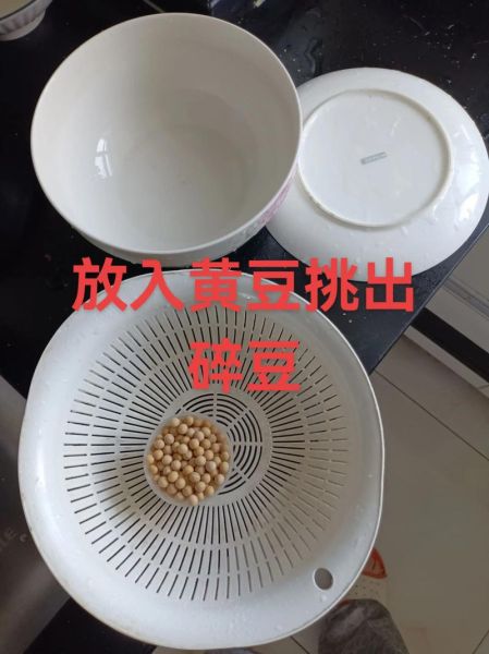 特别小的黄豆芽能吃吗_怎么挑选-第1张图片-山城妙识