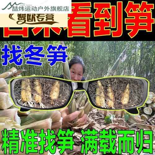冬笋探测器多少钱一个_冬笋探测器价格是多少-第3张图片-山城妙识