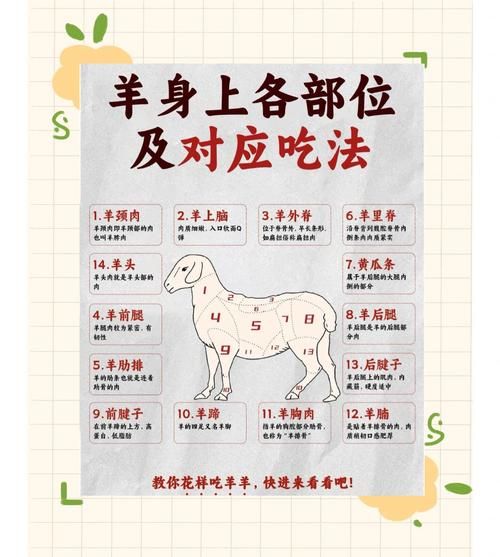 羊肉的功效与作用_羊肉怎么吃最补-第2张图片-山城妙识