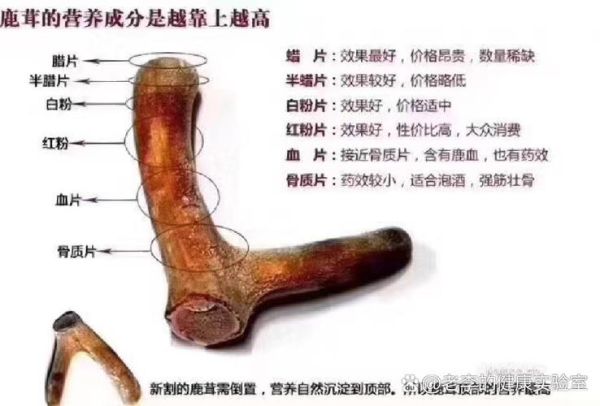 鹿茸片怎么吃补肾壮阳_鹿茸片壮阳吃法大全-第2张图片-山城妙识