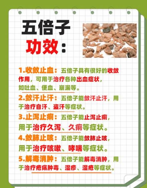 五倍子功效与作用_五倍子怎么吃-第1张图片-山城妙识
