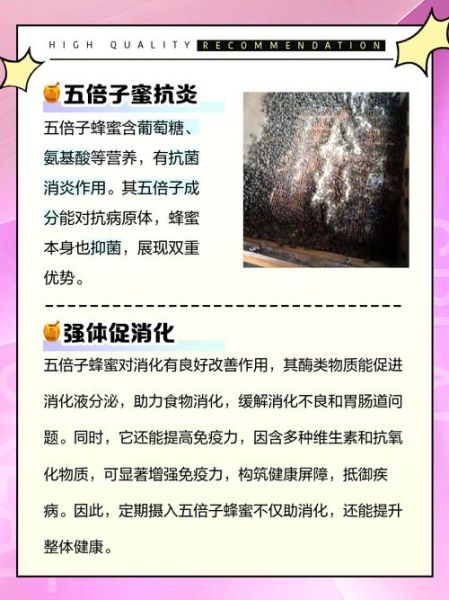 五倍子功效与作用_五倍子怎么吃-第2张图片-山城妙识