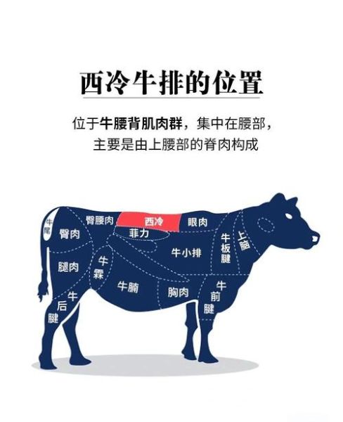 西冷牛排怎么做才嫩_西冷牛排和菲力区别-第2张图片-山城妙识