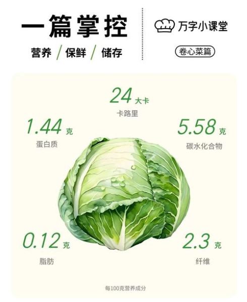 卷心菜的功效与作用_怎么吃最健康-第1张图片-山城妙识
