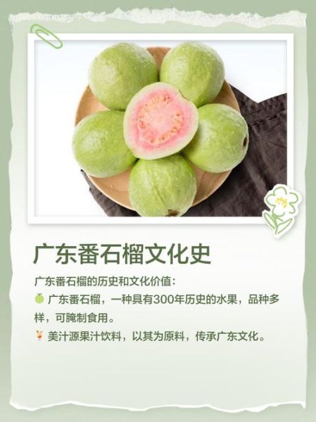 番石榴汁能减肥吗_番石榴汁的功效与作用-第3张图片-山城妙识