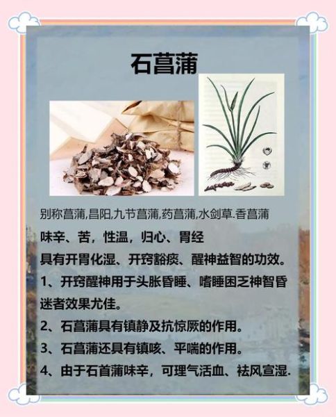 石菖蒲的功效与作用_石菖蒲主治哪些病-第1张图片-山城妙识