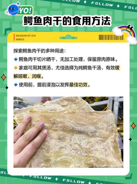 鳄鱼肉干煲汤怎么做_鳄鱼肉干煲汤的功效-第2张图片-山城妙识