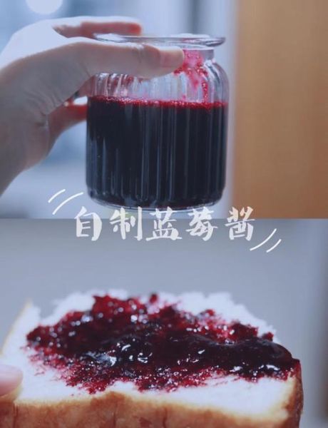 蓝莓酱可以做什么菜_蓝莓酱入菜技巧-第1张图片-山城妙识