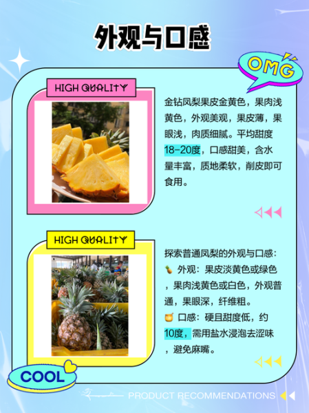 金菠萝和凤梨的区别_哪个更好吃-第2张图片-山城妙识