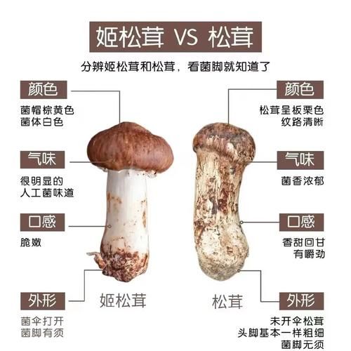 黑松茸长什么样_黑松茸真假怎么分辨-第1张图片-山城妙识