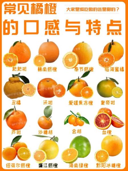 芦柑和沃柑的区别_哪个更甜更好吃-第2张图片-山城妙识