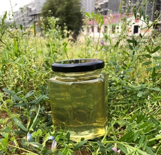 洋槐蜂蜜和枣花蜂蜜哪个好_区别与选购指南-第3张图片-山城妙识 洋槐蜂蜜和枣花蜂蜜哪个好_区别与选购指南-第3张图片-山城妙识