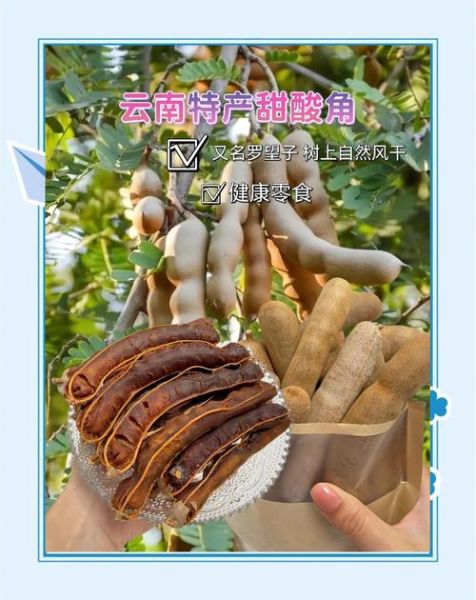 酸角的功效与作用有哪些_酸角怎么吃最健康-第2张图片-山城妙识