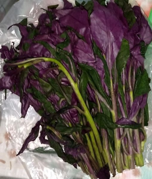 补血蔬菜有哪些_吃什么蔬菜补血最快-第3张图片-山城妙识