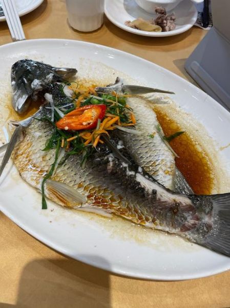 蒸鱼需要多长时间_蒸鱼多久能熟-第1张图片-山城妙识