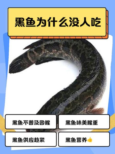 黑鱼为什么叫鬼鱼_黑鱼是鬼的由来-第1张图片-山城妙识