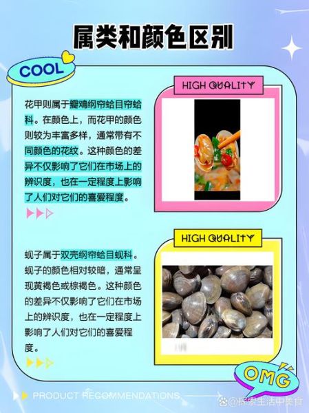 蚬子是花甲吗_蚬子和花甲的区别-第1张图片-山城妙识