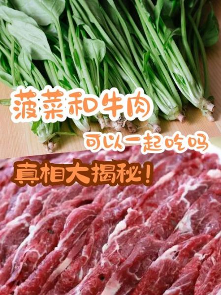 菠菜炒牛肉怎么做_菠菜炒牛肉的营养价值-第1张图片-山城妙识