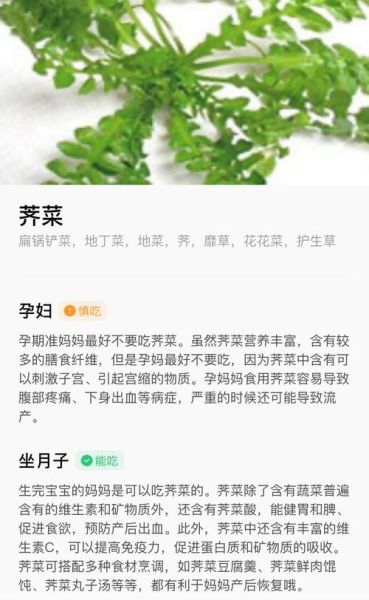 荠菜哪三种人不能吃_孕妇肾病患者能吃吗-第1张图片-山城妙识