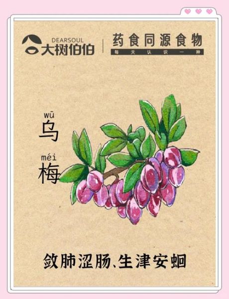 乌梅的功效与作用_乌梅的害处有哪些-第2张图片-山城妙识