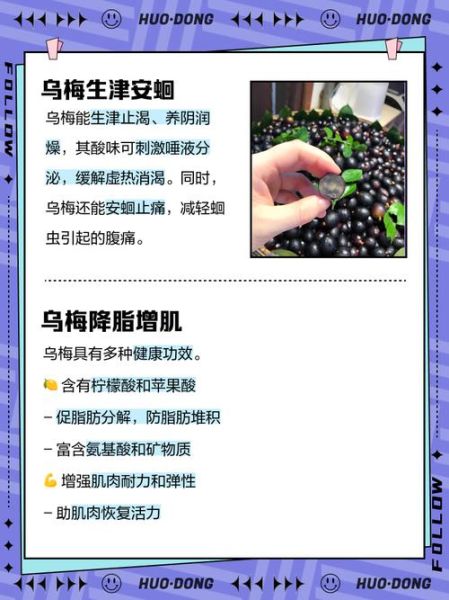 乌梅的功效与作用_乌梅的害处有哪些-第3张图片-山城妙识