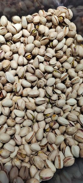 开心果图片大全大图_开心果高清图片哪里找-第2张图片-山城妙识