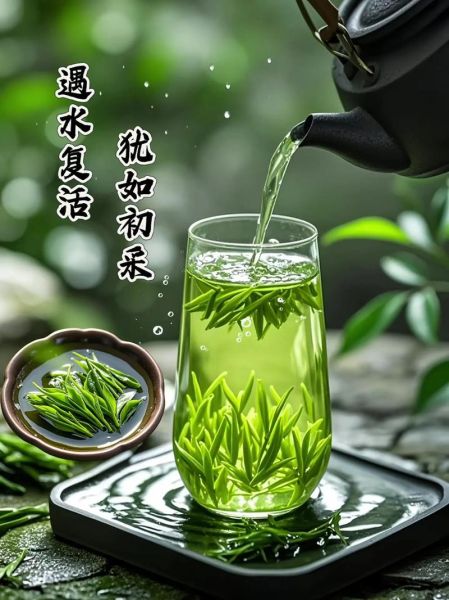 小叶苦丁茶的功效与作用_小叶苦丁茶怎么泡才正确-第2张图片-山城妙识 小叶苦丁茶的功效与作用_小叶苦丁茶怎么泡才正确-第2张图片-山城妙识