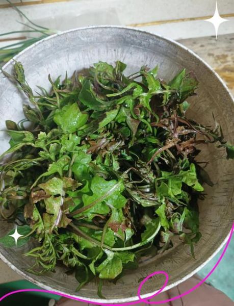 荠菜怎么炒好吃_荠菜炒蛋的做法窍门-第1张图片-山城妙识