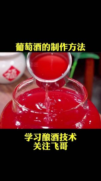 如何自制葡萄酒_自制葡萄酒视频教程-第1张图片-山城妙识