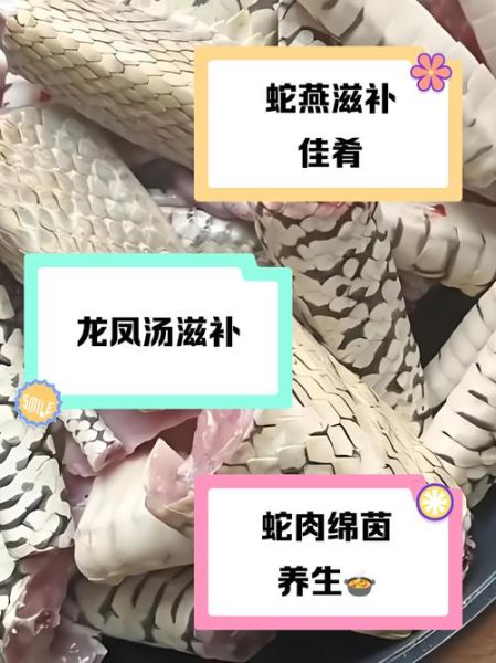 蛇肉怎么煲汤才好喝_蛇肉煲汤放什么配料最香-第1张图片-山城妙识