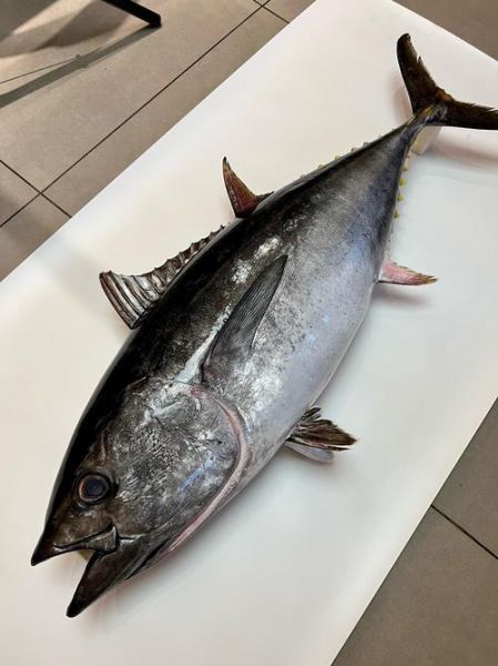 鲑鱼子微博是什么_如何正确食用鲑鱼子-第3张图片-山城妙识