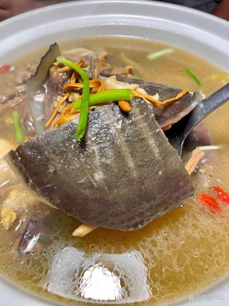 甲鱼汤的做法大全_甲鱼汤煲汤材料有哪些-第1张图片-山城妙识