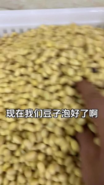 自制腌黄豆怎么保存_腌黄豆的做法大全-第3张图片-山城妙识