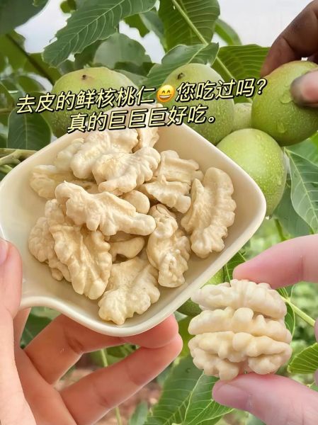 鲜核桃仁怎么吃_鲜核桃仁做法大全-第1张图片-山城妙识 鲜核桃仁怎么吃_鲜核桃仁做法大全-第1张图片-山城妙识