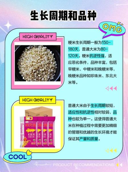 粳米和大米的区别_粳米和大米哪个更好-第3张图片-山城妙识