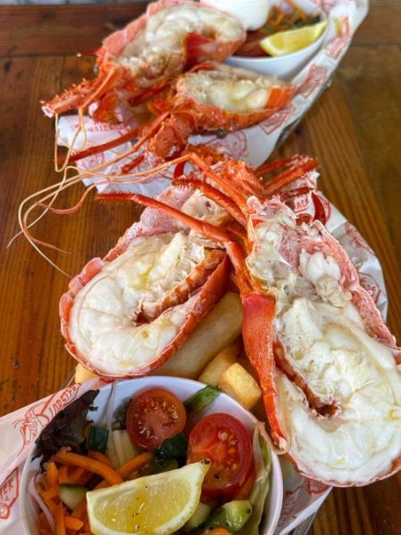 澳洲大龙虾怎么选_澳洲大龙虾多少钱一斤-第3张图片-山城妙识