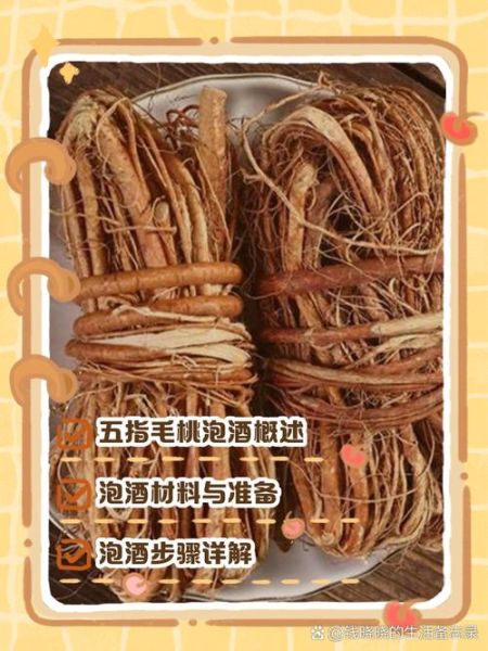 五指毛桃根泡酒壮阳多久见效_五指毛桃根壮阳泡酒配方-第1张图片-山城妙识