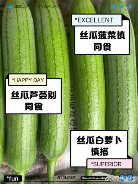 丝瓜不能和什么一起吃_丝瓜相克食物有哪些-第3张图片-山城妙识